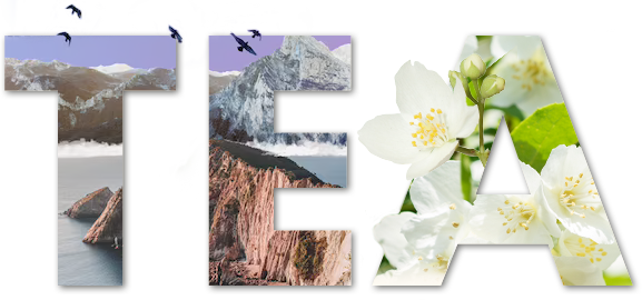 #TEDTEABEAR - Explore the world with Ahmad Tea’s cuddly