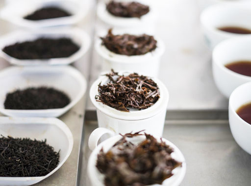 Tea in Kenya – Ahmad Tea